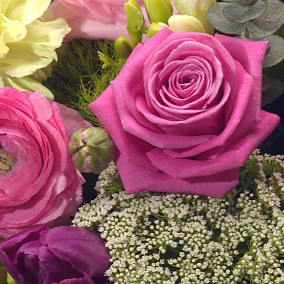 Spring Style Carnival Flowers Florist Wimborne